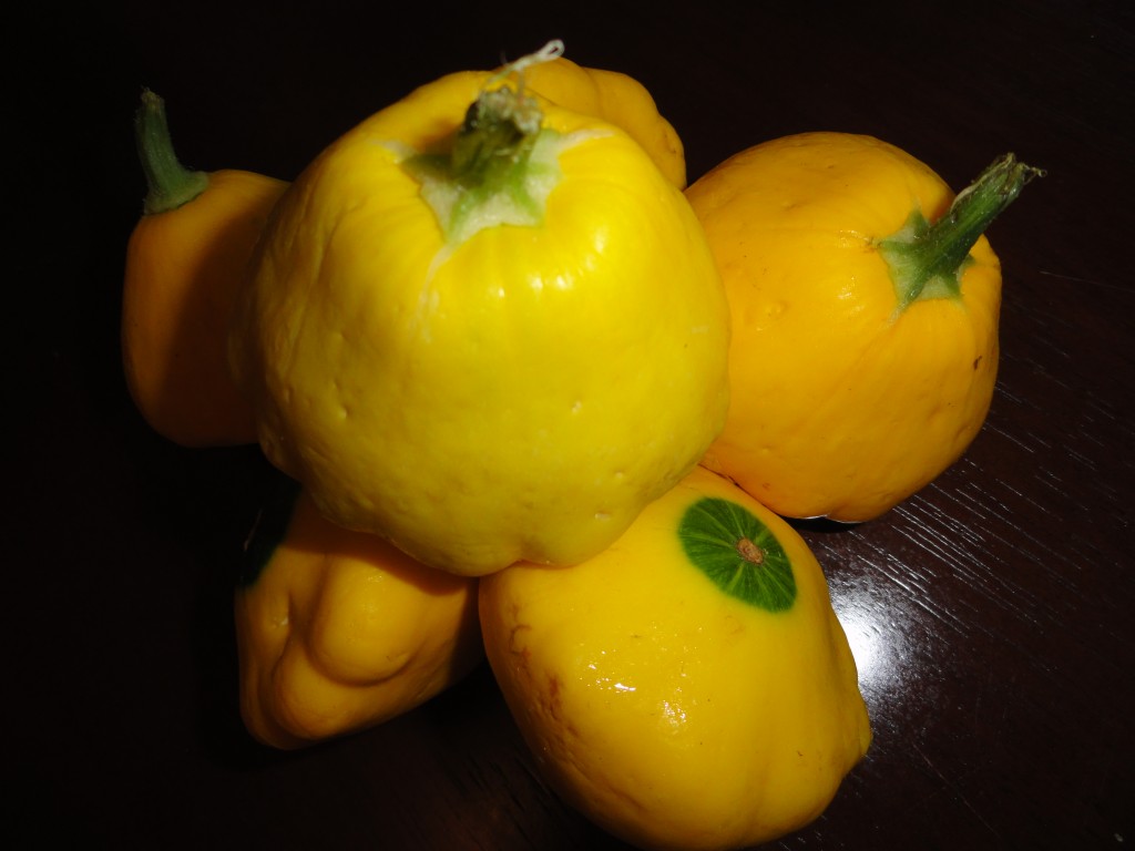 Pattypan Squash or UFO? – Felt Like a Foodie